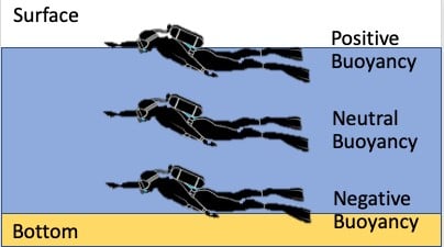How Things Float - SeaPerch